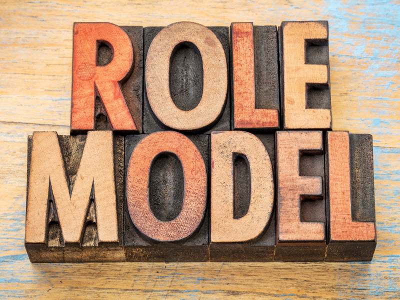 What do we mean by Success – Blog 21: Your Role Models? – Sweeney's Blogs