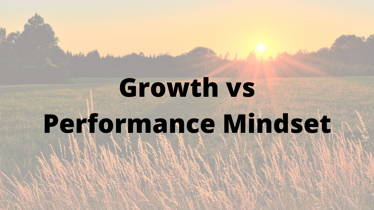Performance vs Growth Mindset – Sweeney's Blogs