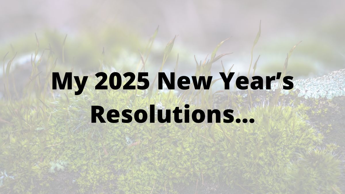 My 2025 New Year’s Resolutions – Sweeney's Blogs