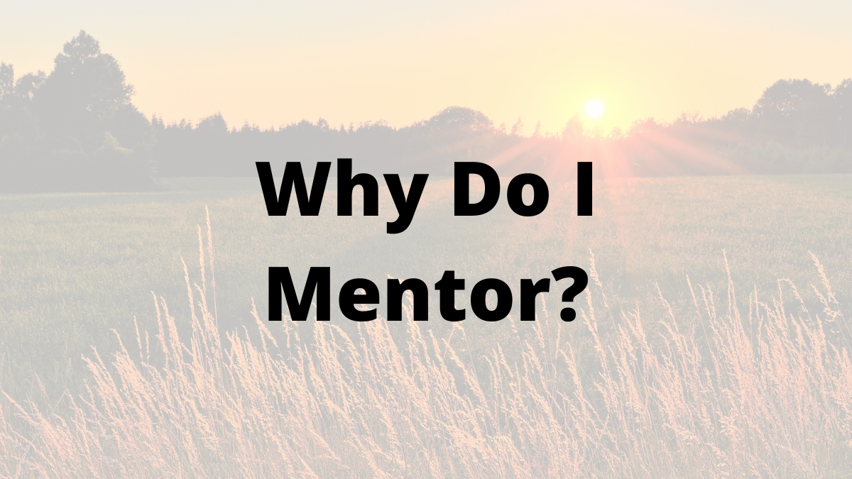 Why Do I Mentor? 🧐 – Sweeney's Blogs